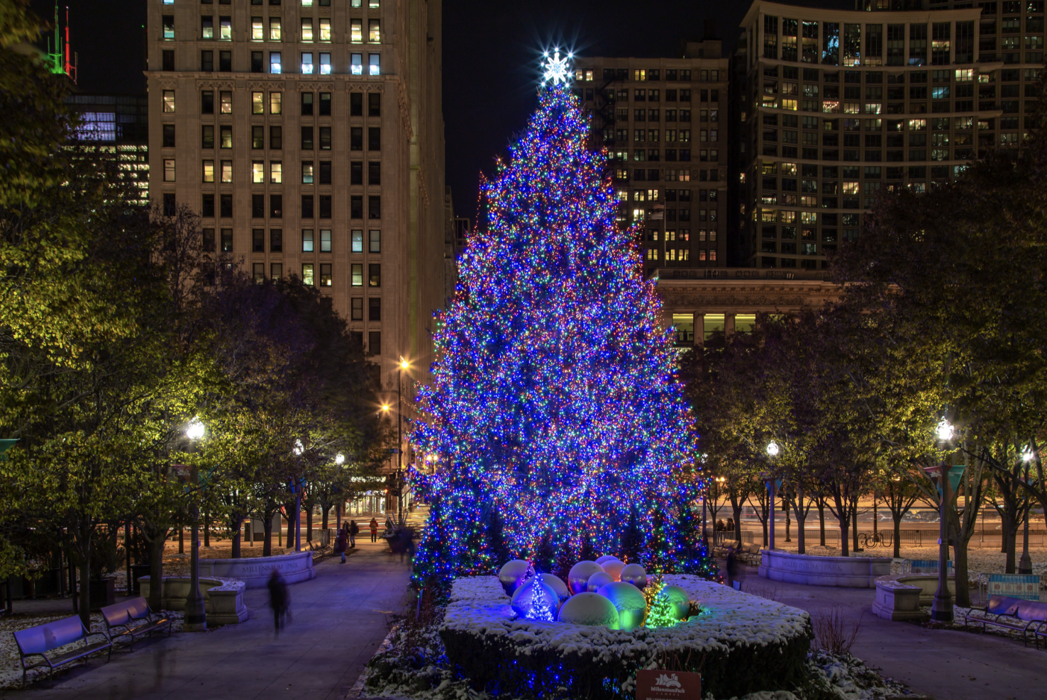 Chicago tree from Glenview – The Oracle